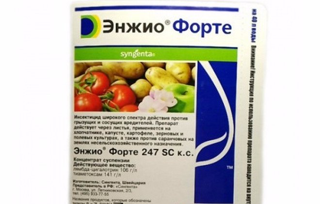 «Энжио»: инструкция по применению инсектицида