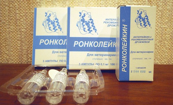 «Ронколейкин» ветеринарный: инструкция по применению