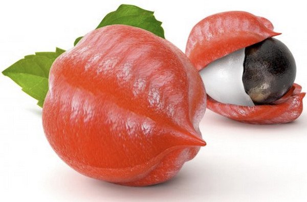 Гуарана: польза и вред, применение в медицине, спортивном питании, для ...